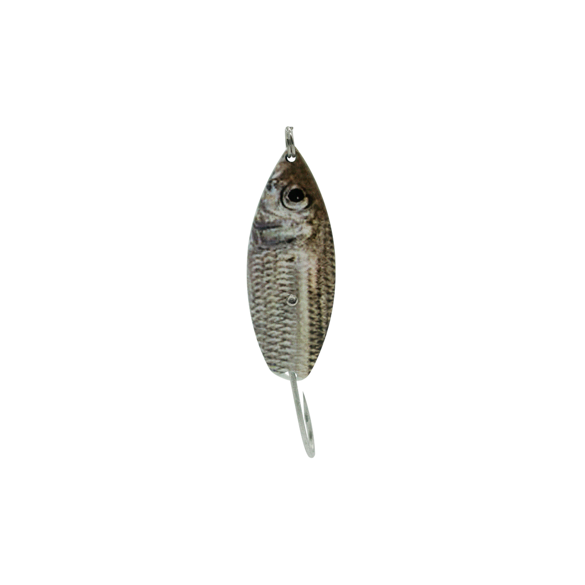 White Pilchard Weedless Willow Spoon – Aqua Dream Living